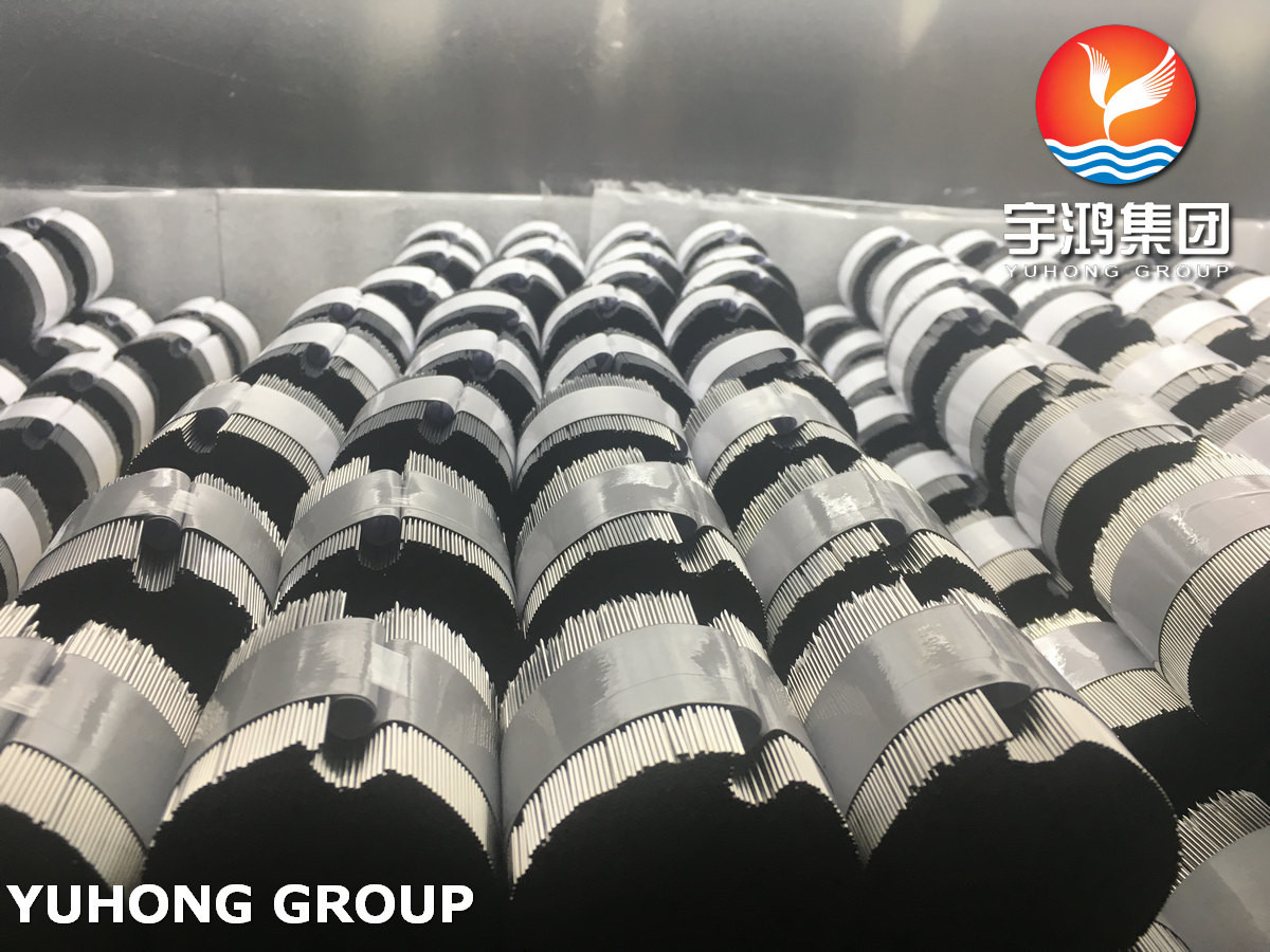 Bright Annealed Tube Needle Precision SS Capillary Tube TP304