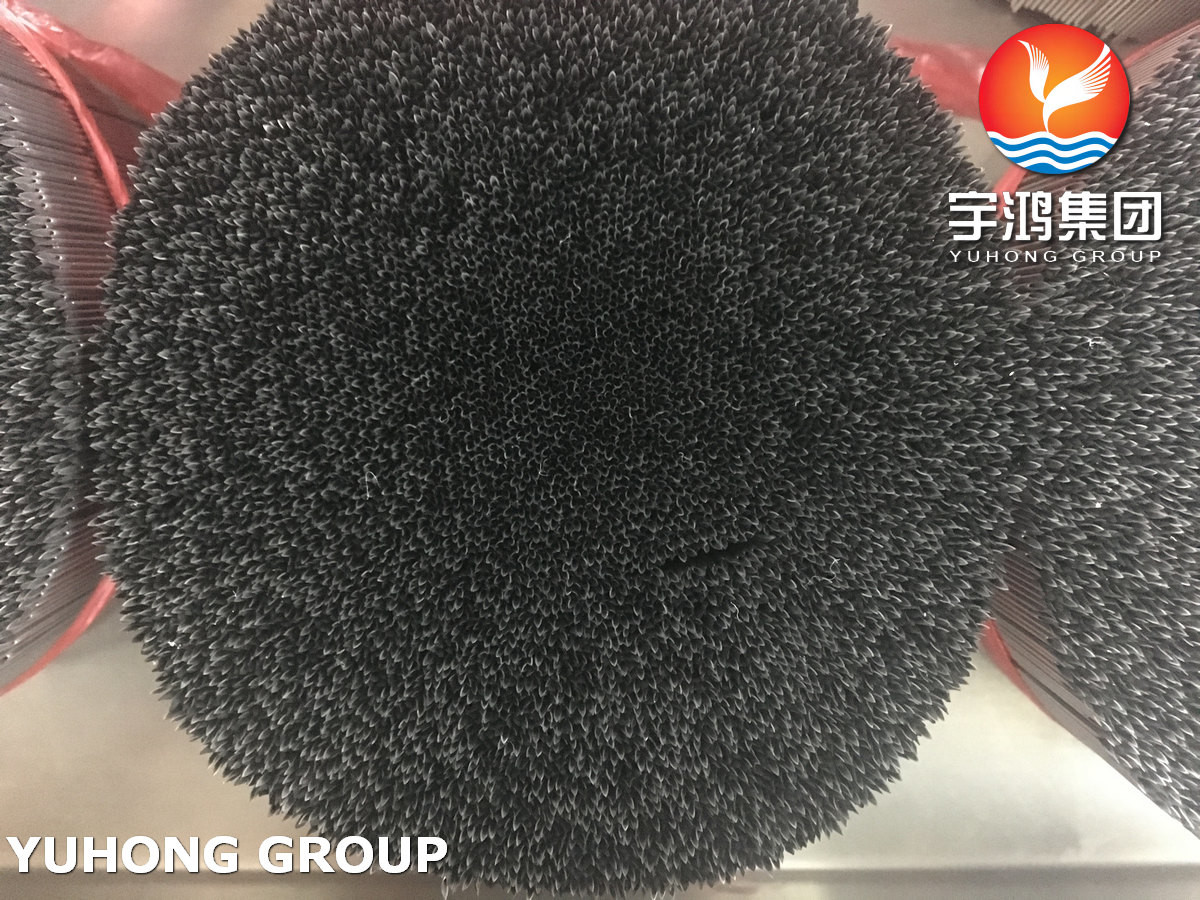 Medical Grade 304 316L Needles Precise Stainless Steel Capillary Tubing