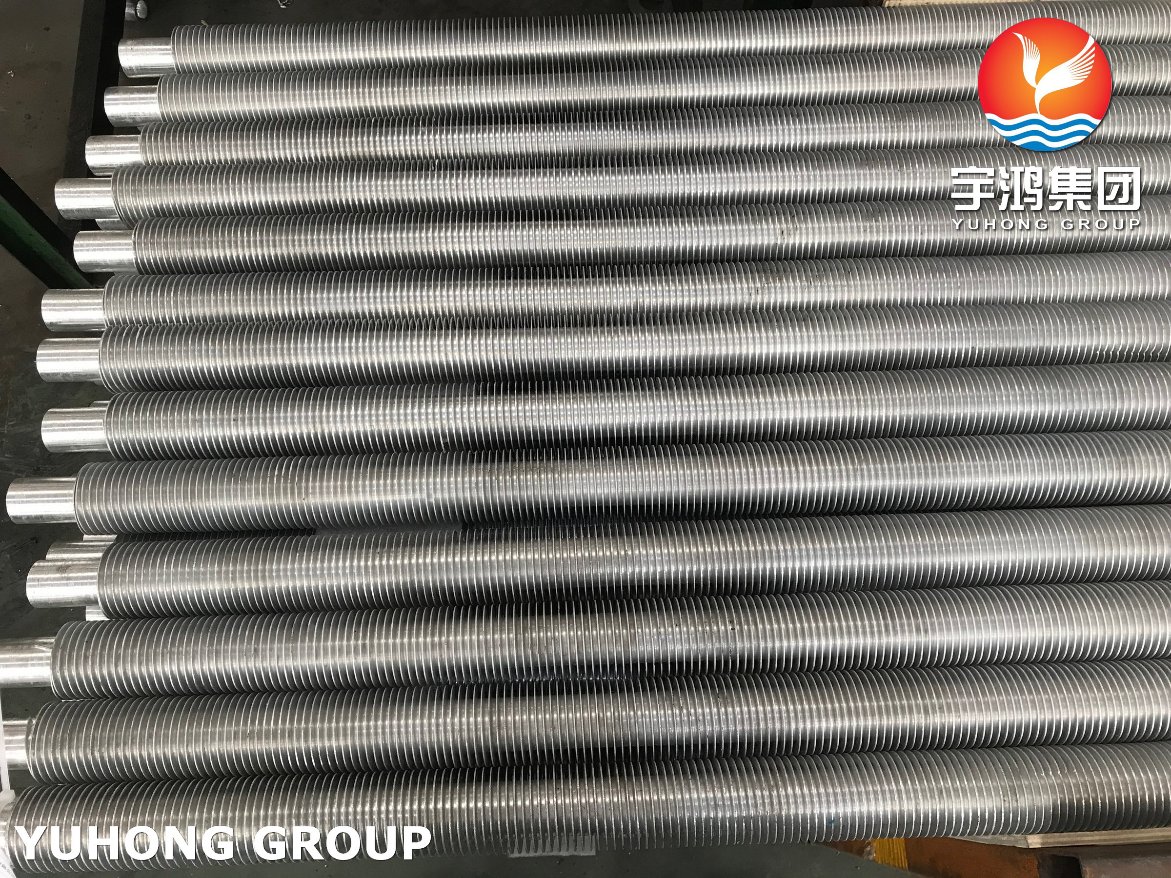 Stainless Steel Solid Fin Tube , High Frequence Weldding Fin Tube